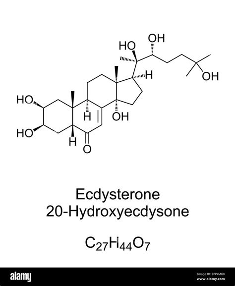 Ecdysterone, 20E, chemical structure, molting hormones in insects Stock ...