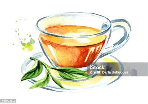컵 녹차와 녹차 잎 흰색 배경에 고립 수채화 손으로 그린 그림 0명에 대한 스톡 벡터 아트 및 기타 이미지 0명 건강관리와