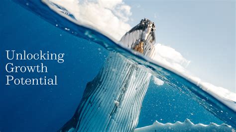 Why Analyzing Your Current Process Is Essential For Business Success