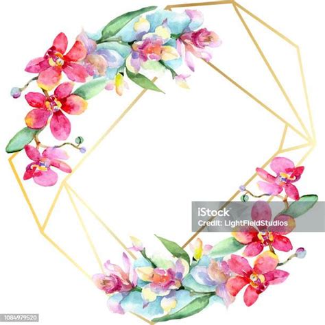 Bunga Botani Bunga Anggrek Bunga Liar Daun Mata Air Terisolasi Bingkai