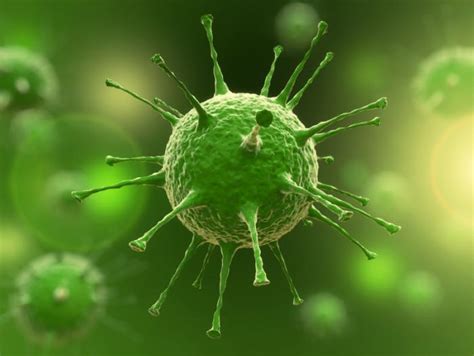8 Aspects To Help You Know The Characteristics Of Viruses New Health 8 Aspects To Help You Know The Characteristics Of Viruses New Health