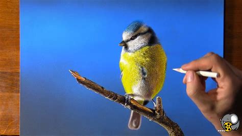 نقاشی های سه بعدی 3d آموزش نقاشی سه بعدی 3d قسمت 8 فیلو