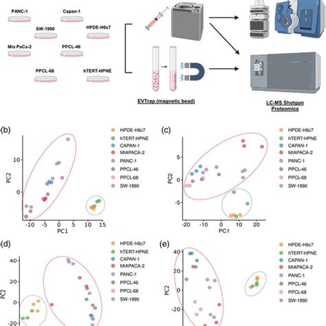Multi‐omics Analysis Of Cevs And Nevs Reveals Enrichment In Potential