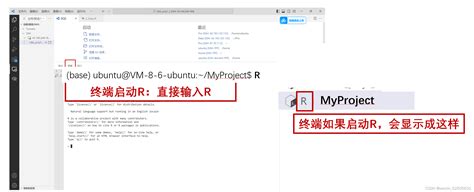 新手友好：云服务器使用指南——vs Code进行r语言运行与分析“打怪”辅助技能 Csdn专栏