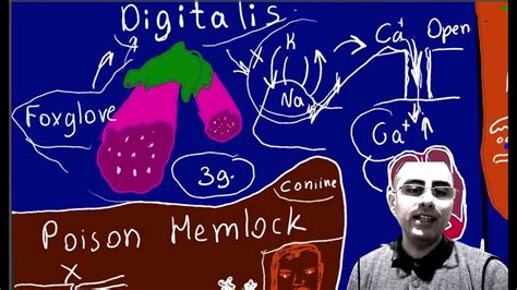 მომწამვლავი მცენარეები ცნობილი ბინებრივი საწამლავები Youtube