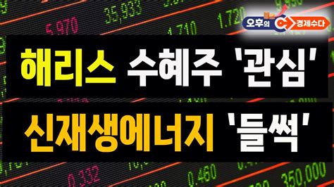 오후의 경제수다 해리스 지지율 상승세신재생에너지株 들썩 Youtube