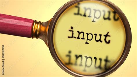 Examine And Study Input Showed As A Magnify Glass And Word Input To
