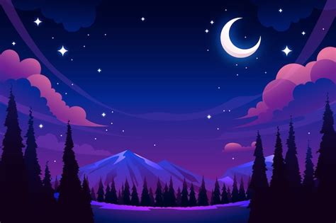 Premium Vector Night Background Illustration