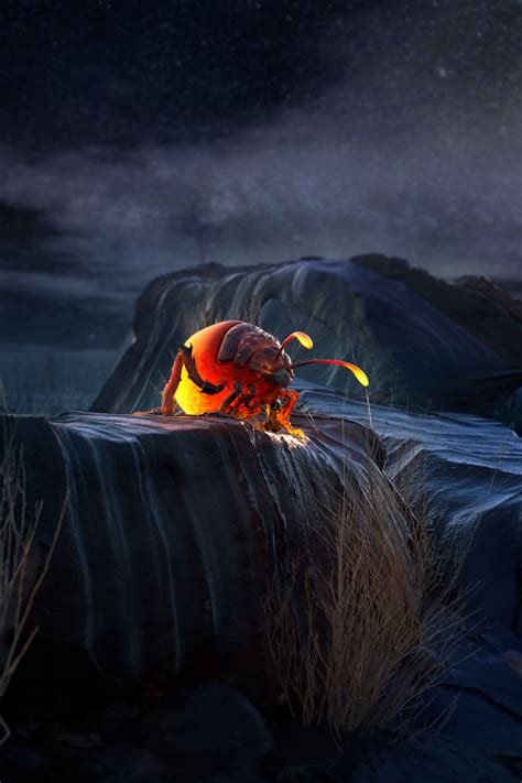 Translucent Bug On Behance