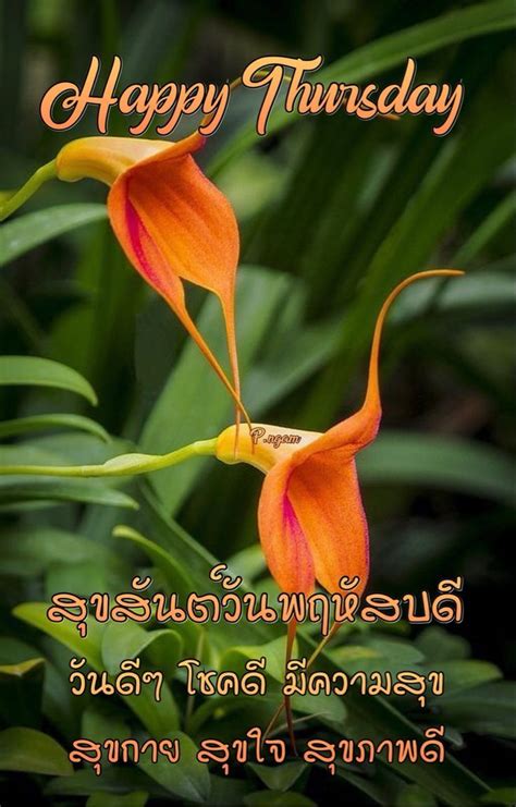 Good Morning Flowers Happy Thursday Poster Hello Louis Nice Nice France Billboard