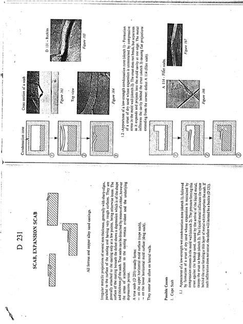 Scab Expansion Scab Pdf