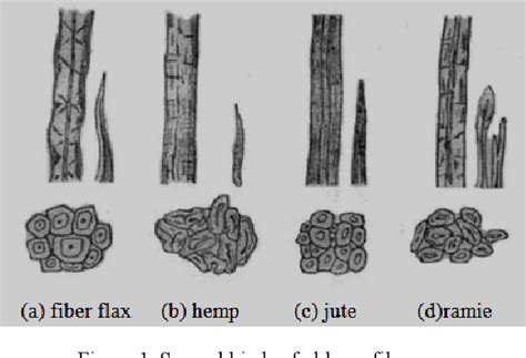 Figure 1 From Effect Of Alkali Treatment On The Composition And Structure Of Hemp Fiber
