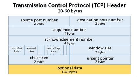 Tcp Networking Understanding The Nagle Algorithm