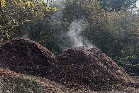 Compost Not Heating Up How To Make And Maintain A Compost Piles Heat Gardening Latest