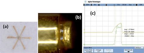 A Front Side View Of Individual Diode Chip In House Developed At