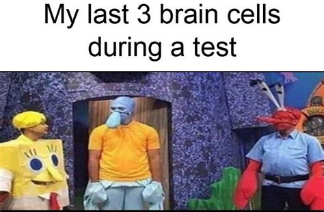 Can You Feel It Now Mr Krabs R Bikinibottomtwitter