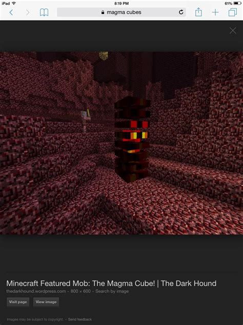 Magma Cubes Wiki Minecraft Amino
