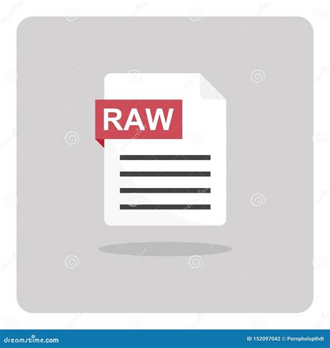 RAW Format File Icon Stock Vector Illustration Of Icon
