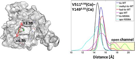 Figure 3 From What Can We Learn From Molecular Dynamics Simulations For Gpcr Drug Design