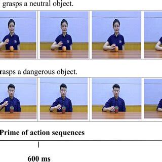 Examples Of An Action Sequence In A Trial Used In Experiment Taking Download Scientific