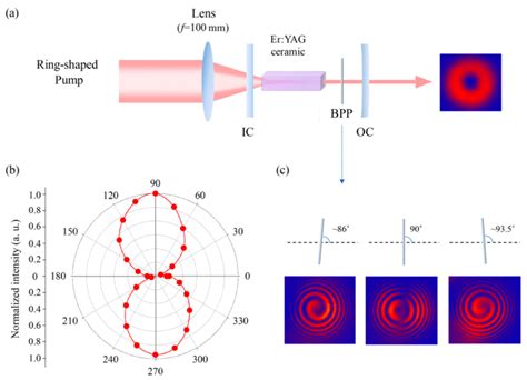 A Schematic Of Experimental Setup Used To Excite The Pulsed Vortex