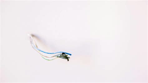 Guidelines For Running Ethernet Cables Alongside Electrical Wiring Gearit