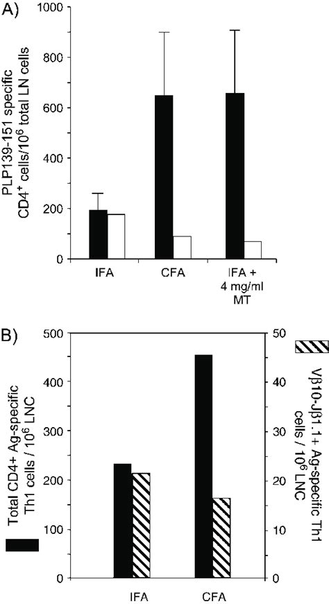 Mt Increases In Vivo The Number Of Ifn C Secreting Cd4 T Cells By Download Scientific