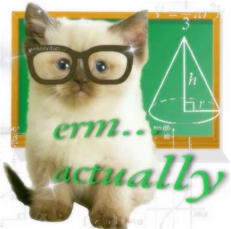 Irrelevant Erm Actually 🤓👆🐈 Cat Nerd 🤓👆 🤓 Fact Argument Instagram