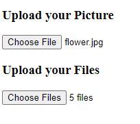 HTML Input File CSVeda