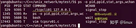 linux下wait waitpid处理僵死进程详解 sigchld信号 知乎
