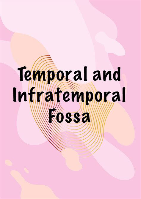 Temporal And Intratemporal Fossa Temporal And Infratemporal Fossa M