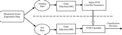 Schematic Diagram Of Proposed Approach Download Scientific Diagram