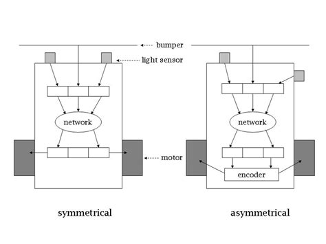 Schematic Overview Of The Morphology Of The Two Different Robots Download Scientific Diagram