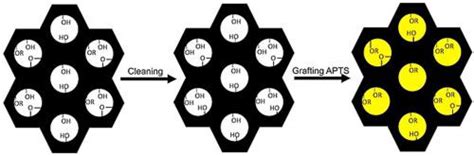 介孔二氧化硅的羟基化方法及其对表面功能化的影响 Microporous And Mesoporous Materials X Mol