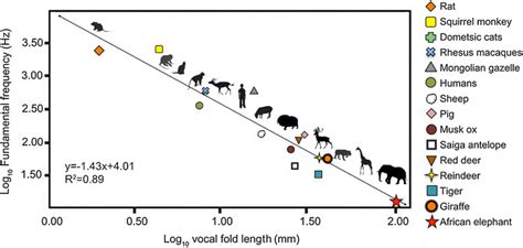 Log Log Plot Of Average F0 For Various Mammals N 15 Versus Vocal Download Scientific