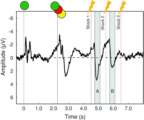 Eeg Results Grand Average Across All The Four Main Experimental