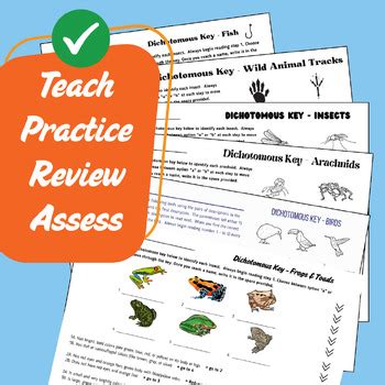 Dichotomous Keys BIG BUNDLE By Diane Kelley TPT