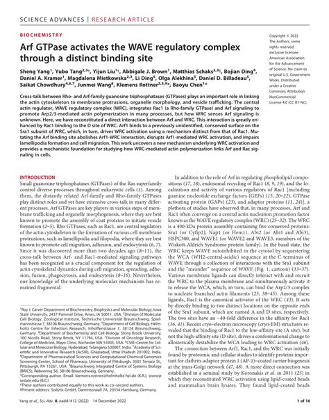pdf arf gtpase activates the wave regulatory complex through a