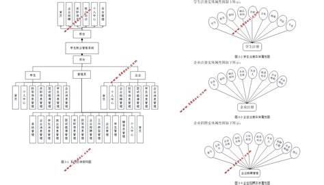 学生就业管理系统的设计与实现springbootmysql含录像javaweb56设计资料网