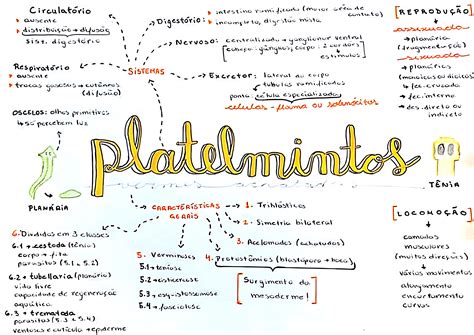 Mapa Mental Sobre Platelmintos Maps4study