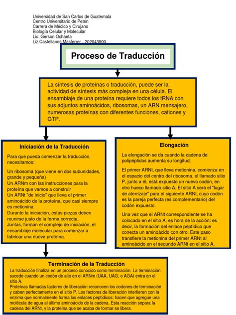 Traduccion Pdf Traducción Biología Procesos Celulares