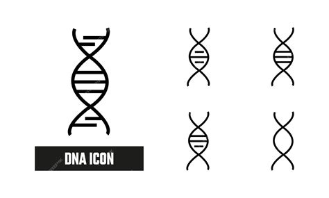 Premium Vector Dna Lineal Icon Symbol Vector Black Outline Dna Icon