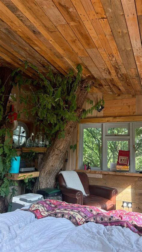 Treehouse Of Dreams Tree House Bedroom Tree House Designs Adult Tree House