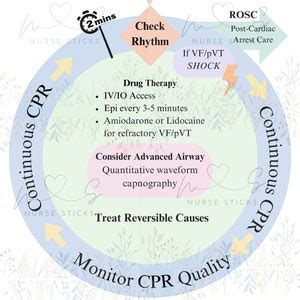 ACLS Algorithm Sheet Healthcare ACLS Advanced Life Support Nurse Cheat Sheet Nursing Sheet