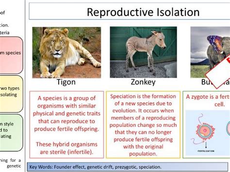 Reproductive Isolation Grade 11 Teaching Resources