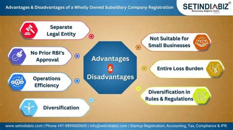 Wholly Owned Subsidiary Explained Meaning And Indian Examples