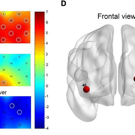 Brain Activation Maps Of Oxy Hb Level In Non Caregiver And Informal Pd Download Scientific