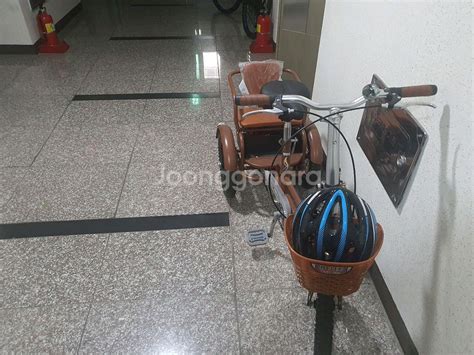 성인용 세발자전거 중고나라 안심되는 중고거래