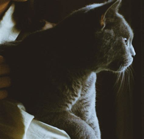 Mathematics Analysis 01 连续函数介值性的一个问题 知乎