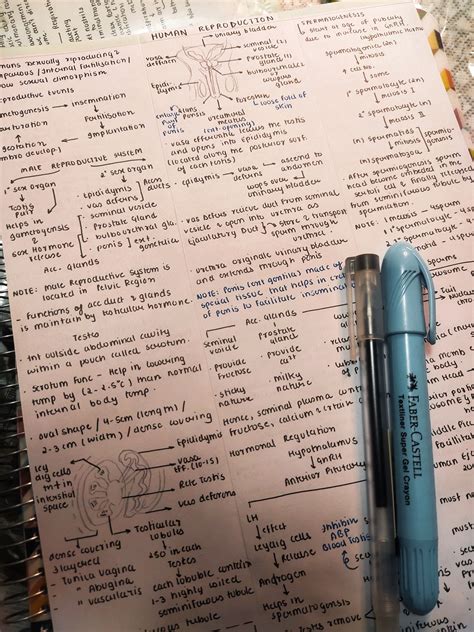 Macbeth Character Analysis Gcse Artofit